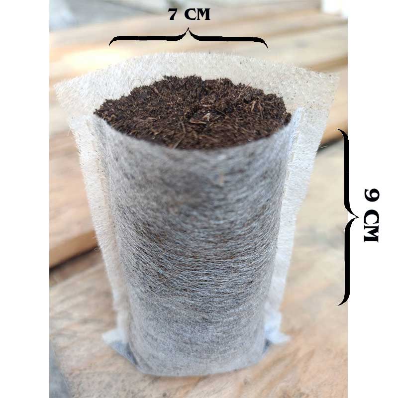 ถุงเพาะสปันบอนด์ ขนาด 7*9 ซม ()